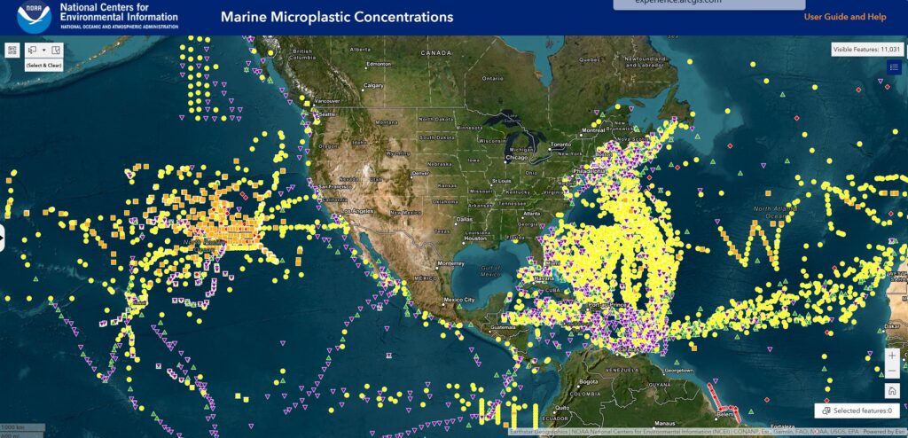 Mapping the Way: How NOAA Maps are Changing the Game - WhiteClouds