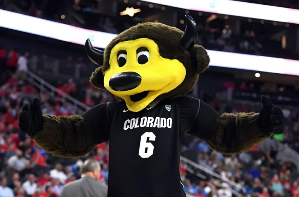 Top 10 College Basketball Mascots - WhiteClouds