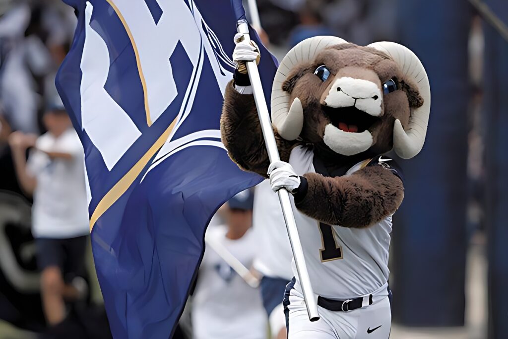 Top 10 NFL Mascots - WhiteClouds