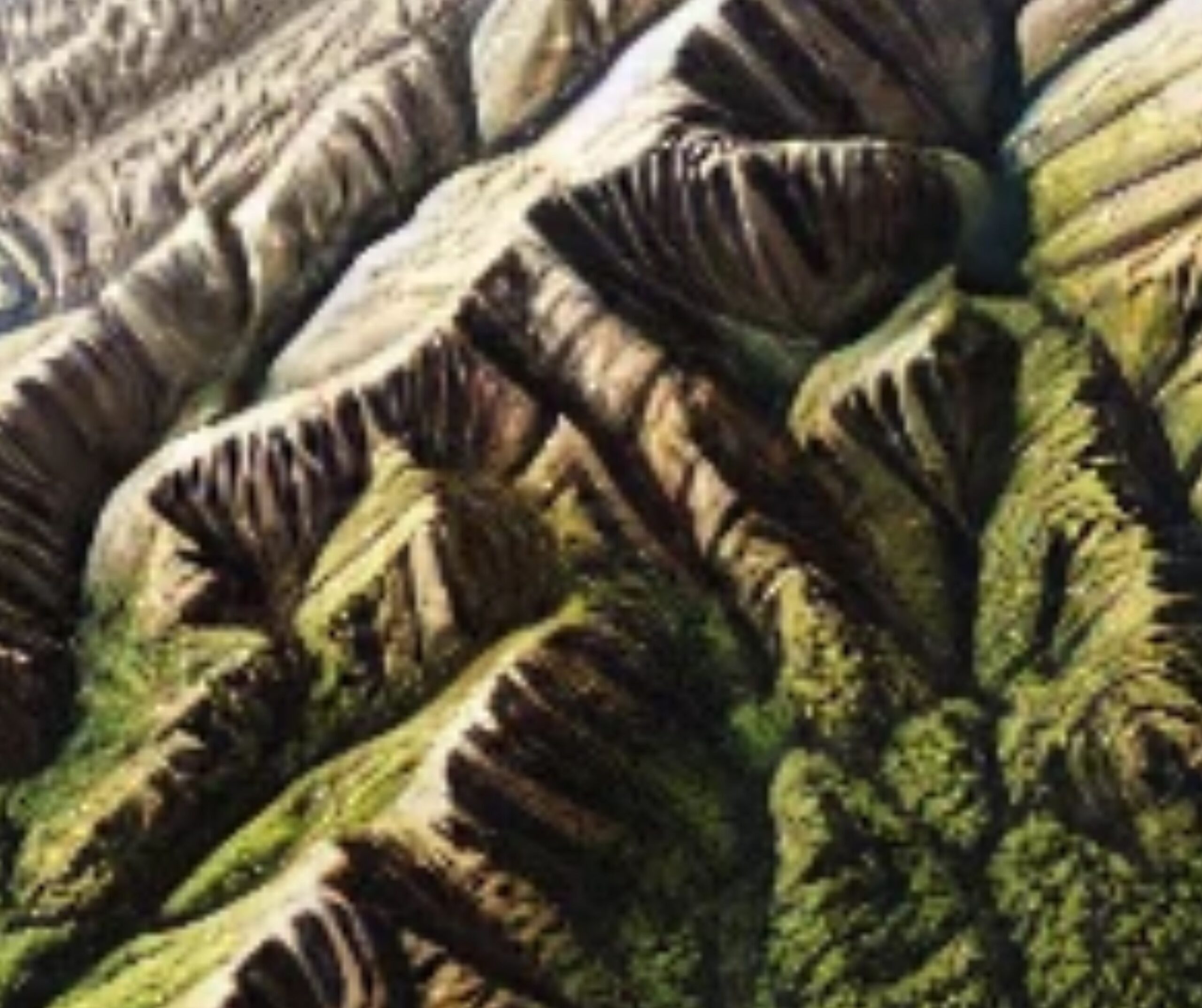 Tennessee Topo Map - WhiteClouds