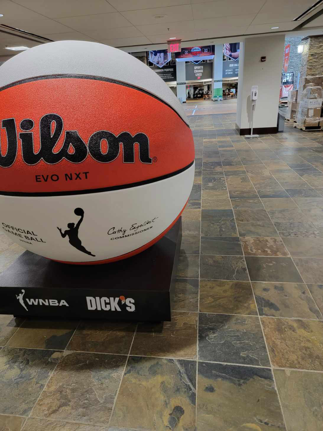 Sports and Outdoor 3D Projects and Examples Gallery - WhiteClouds